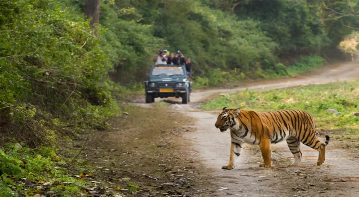Wildlife Tour Packages | Sparkling Holidays - Explore Nature